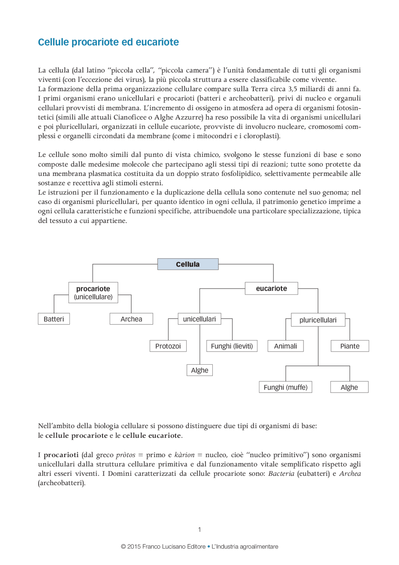 Biologia Cellule Procariote Eucariotepdf Appunti Di Scienze Naturali