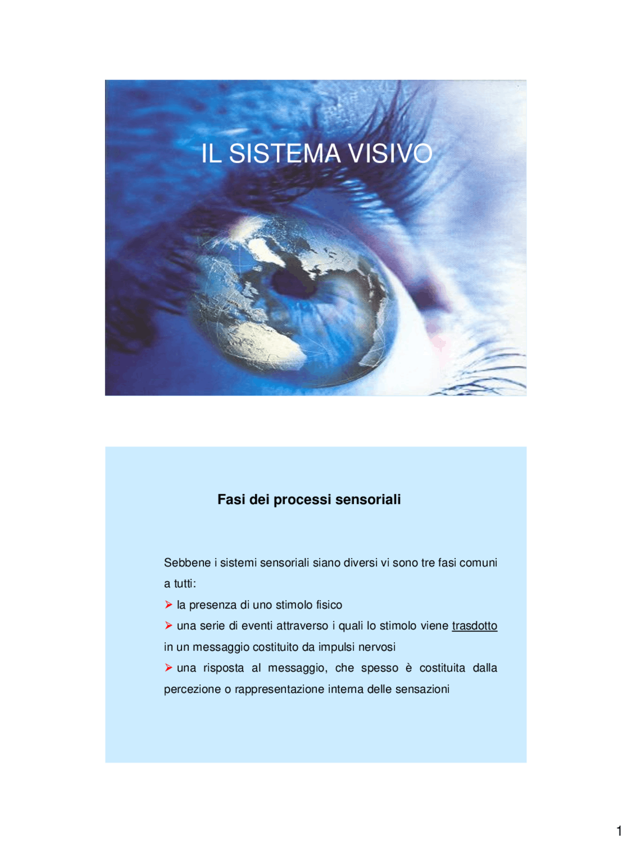 La visione seconda parte fondamenti neuro-chimici - Docsity