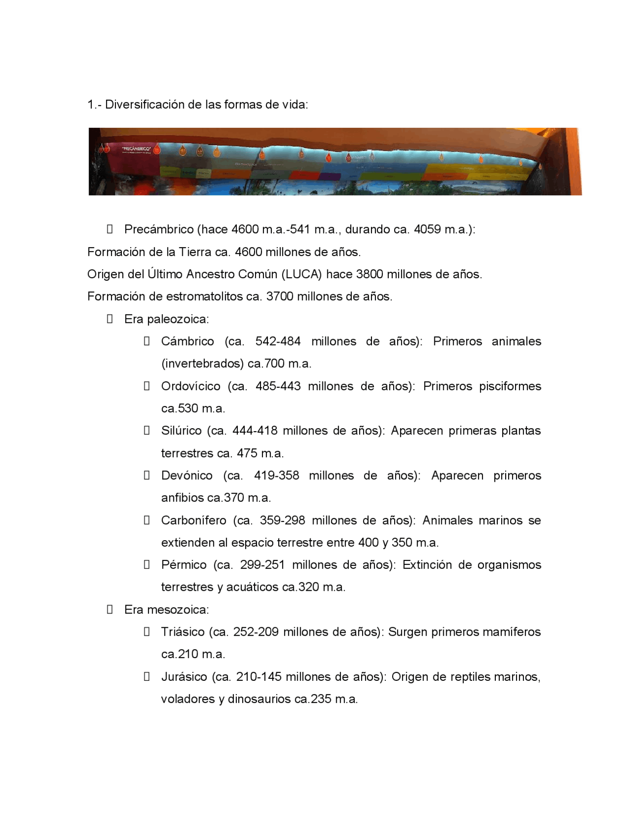 Evolución Vida Y Clasificación De La Tierra Guide Projets