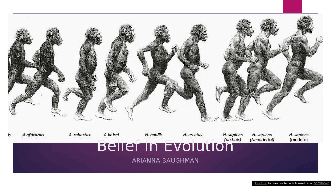 Powerpoint on the Belief in Evolution - Docsity