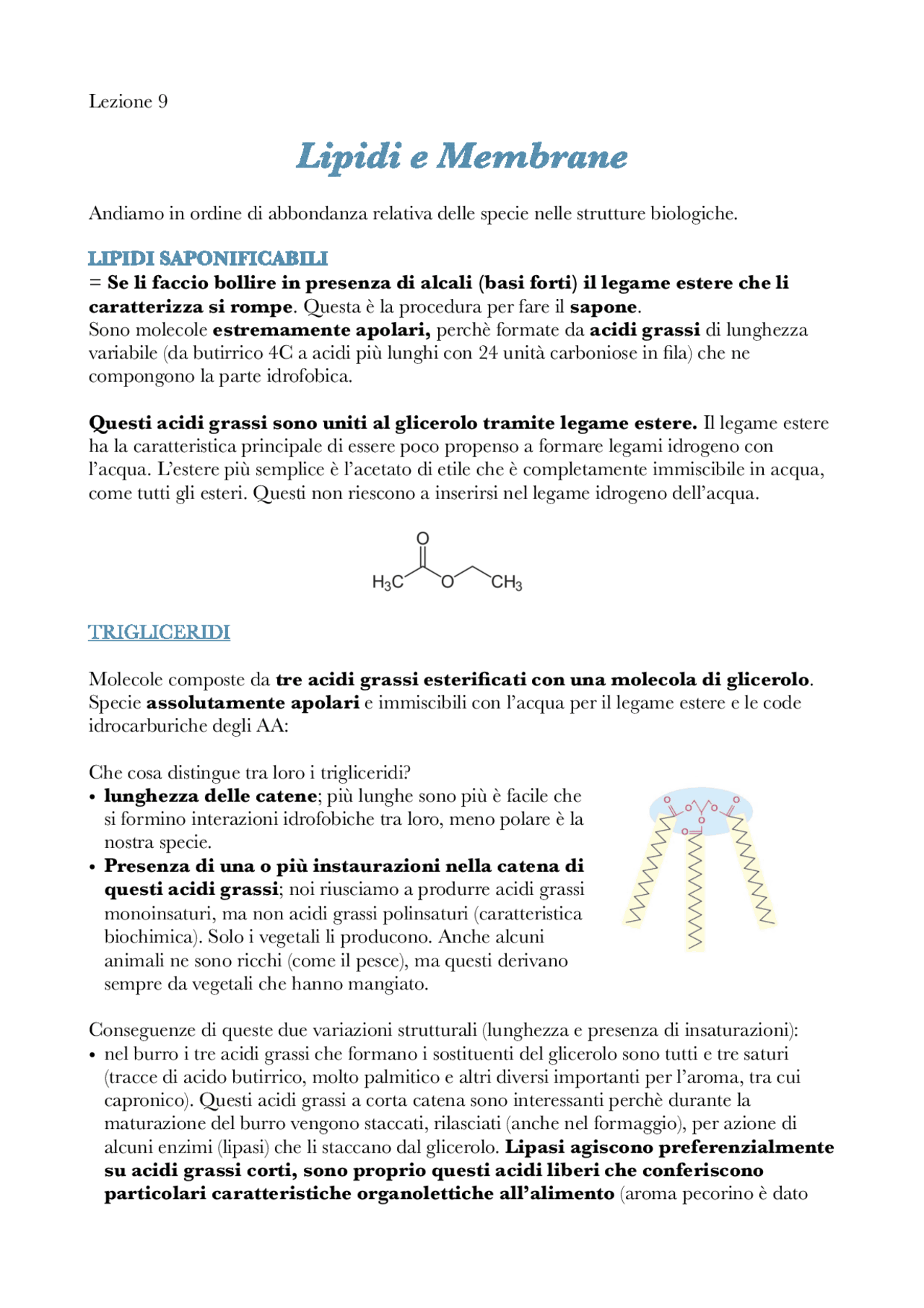 Appunti Di Biochimica 2 Lipidi E Membrane Catabolismo Acidi Grassi