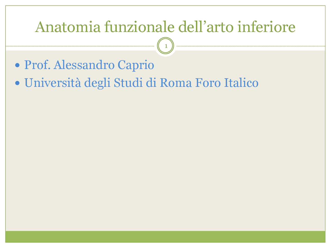 Anatomia Arto Inferiore Docsity