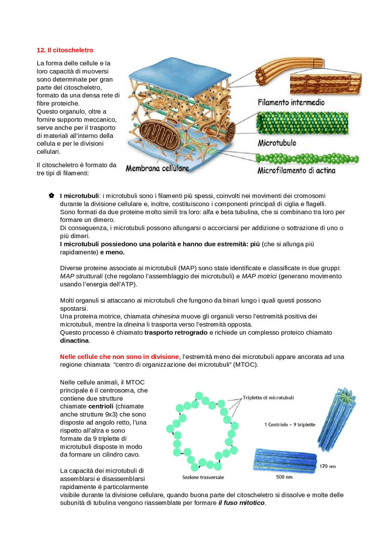 Appunti Sulla Cellula Cdl In Infermieristica Docsity