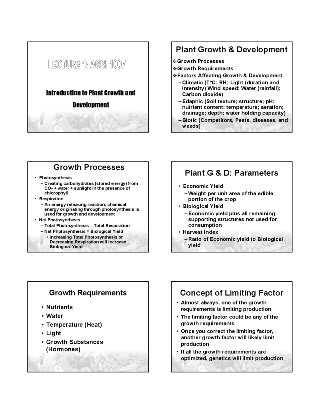 Plant Growth And Development Docsity Plant Growth And Development Docsity
