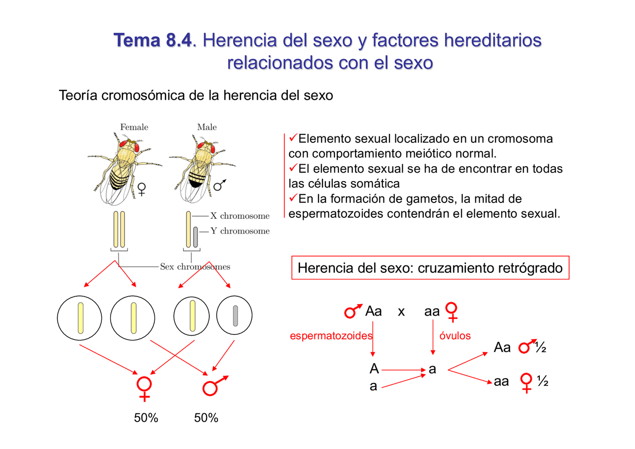 Biologia Cel·lular Ub Apuntes De Biología Celular Docsity
