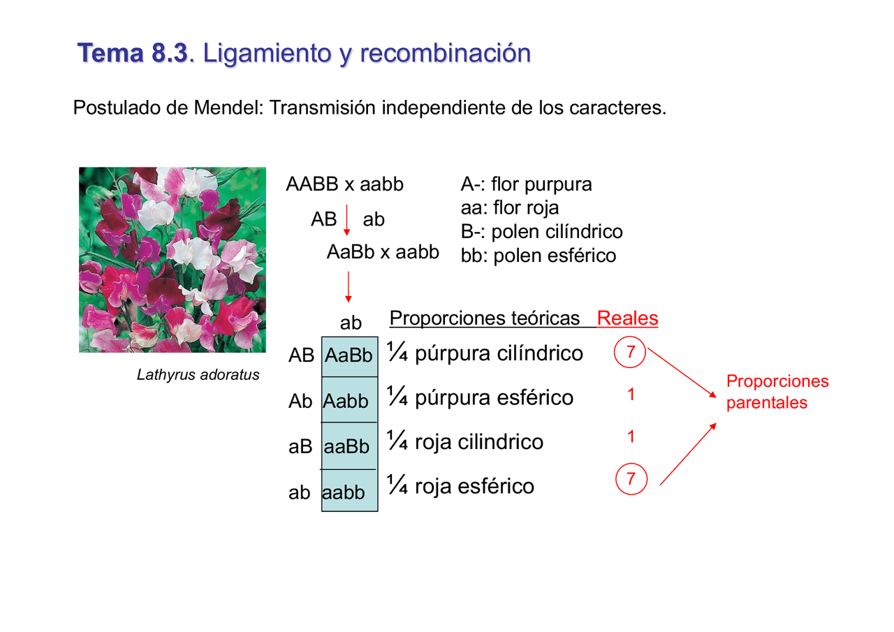 Biologia Cel·lular Ub Docsity