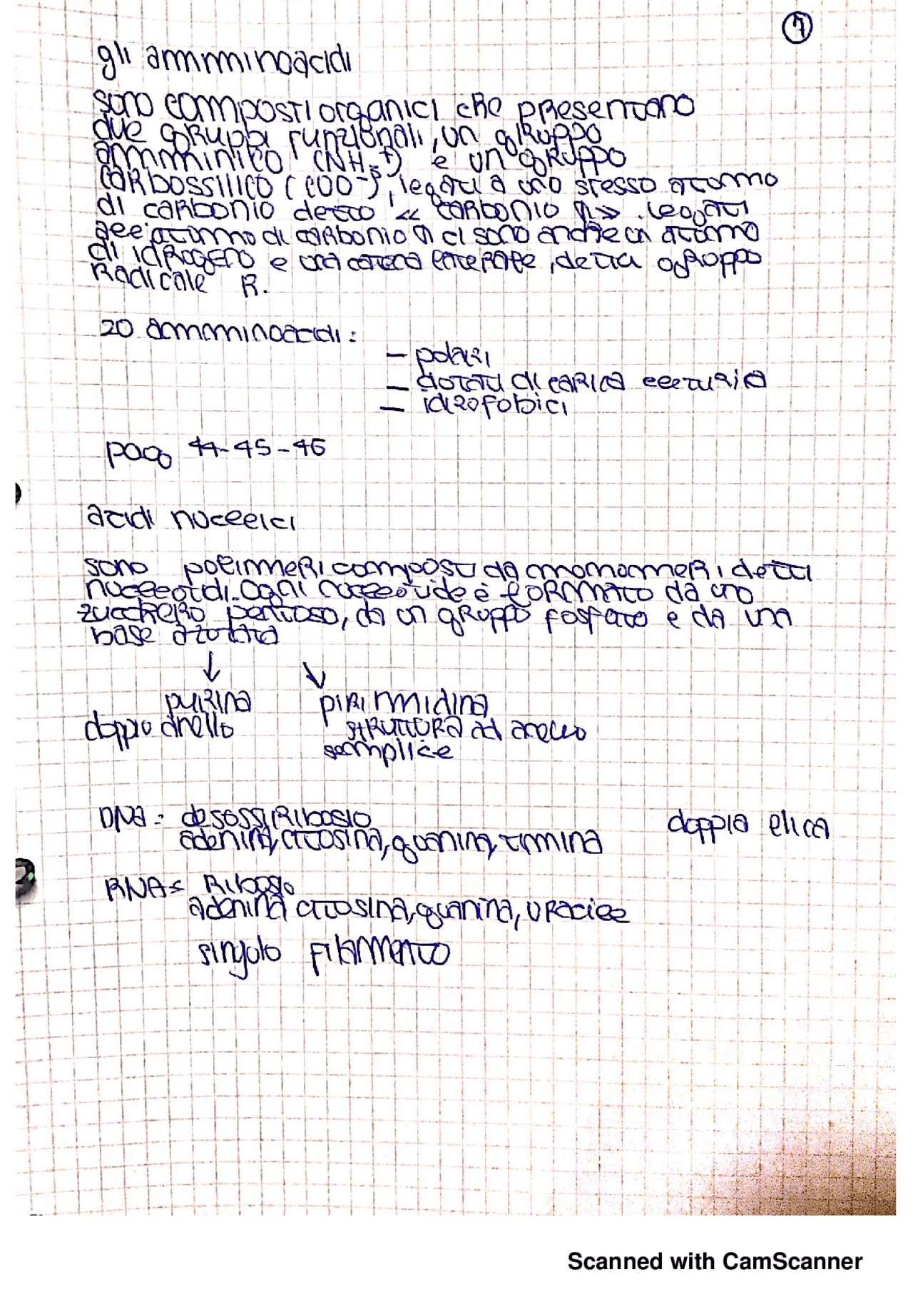 File 5 Appunti Biomolecole Docsity