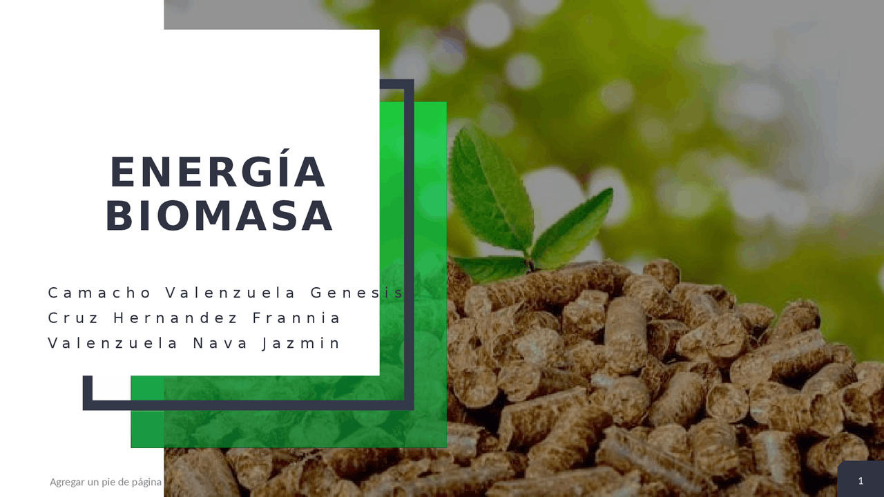 ENERGÍA BIOMASA exposición - Docsity