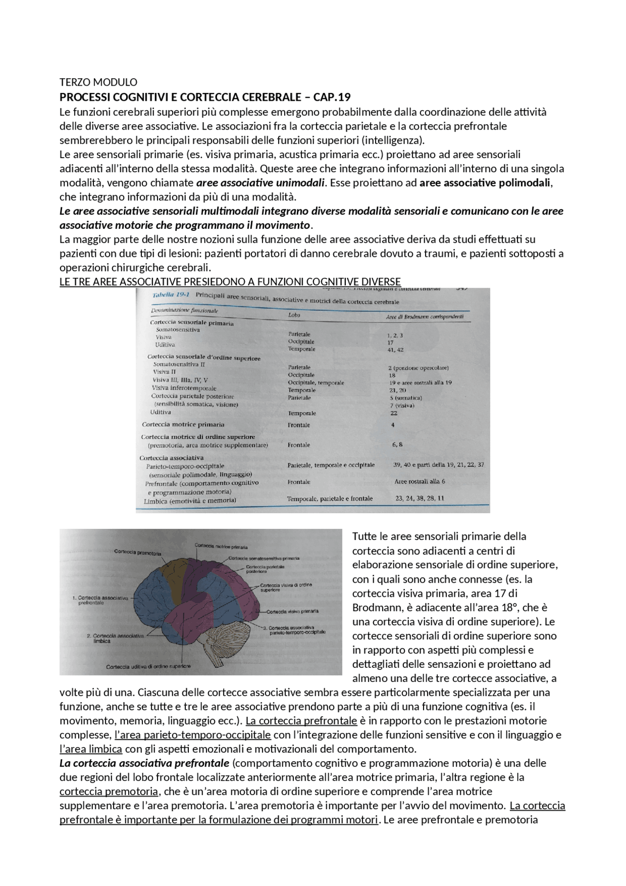 Riassunto Per 3° Modulo Di Fondamenti Anatomo Fisiologici Dei Processi