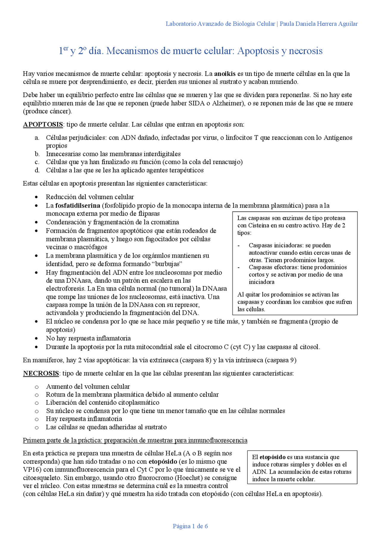 Apuntes Laboratorio De Biología Celular Docsity