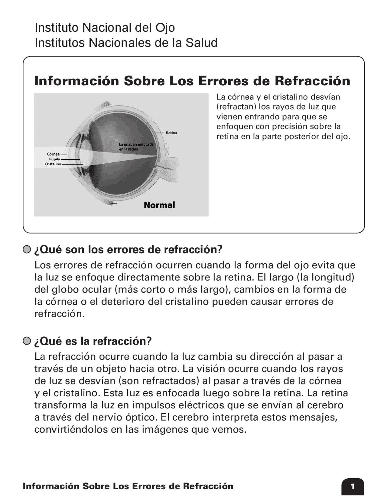 Defectos de refracción en el ojo | Apuntes de Anatomía - Docsity