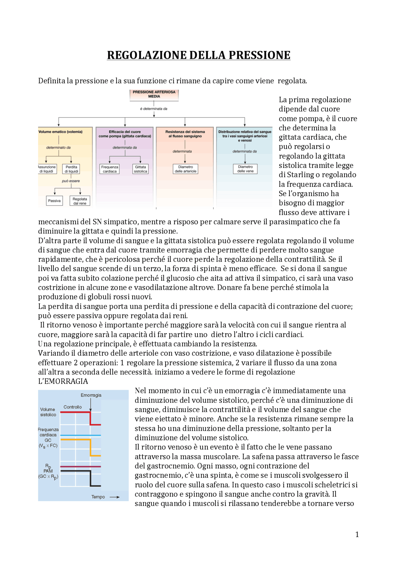 Fisiologia Generale Umana - Regolazione della pressione sanguinea - Docsity