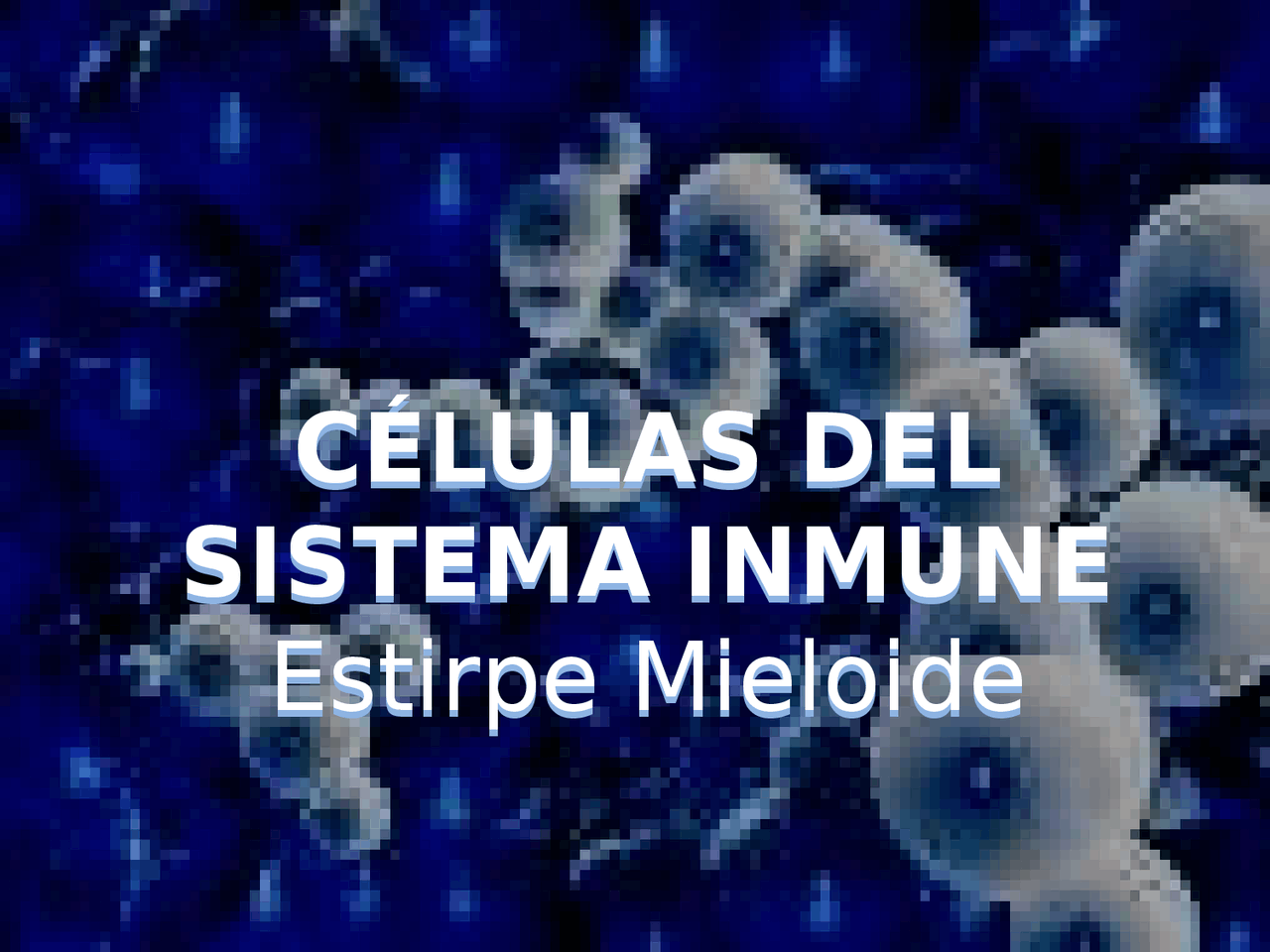 Celulas Del Sistema Inmune Células Mieloides Docsity