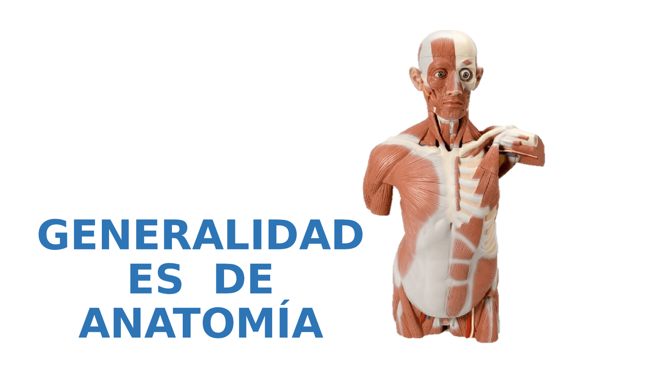 Generalidades Anatomia - Docsity
