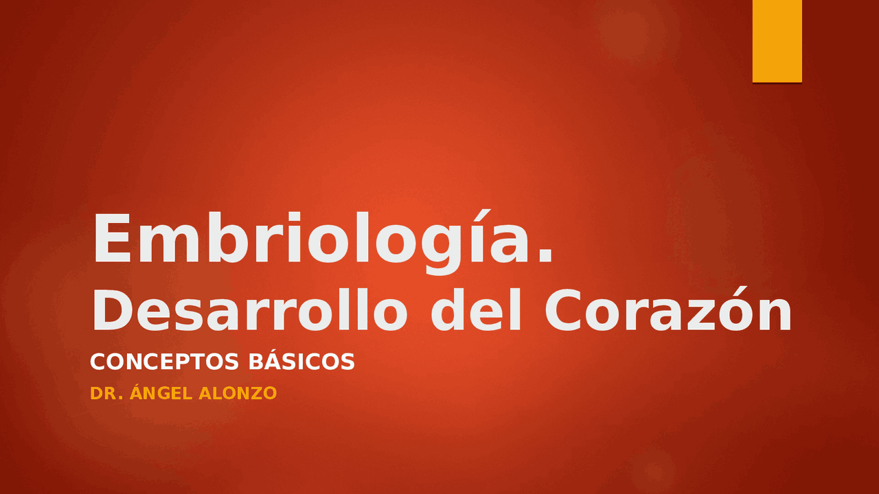 Desarrollo del corazón embriologico | Diapositivas de Anatomía | Docsity