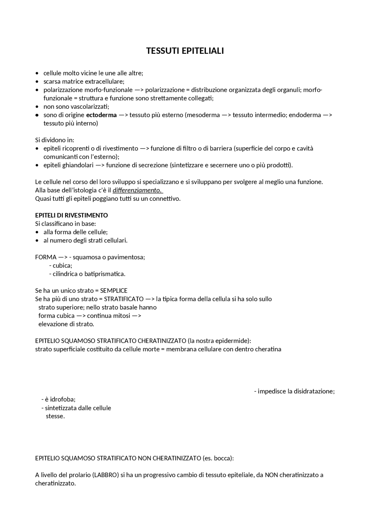 Tessuto Epiteliale 1° Parziale Anatomia Scienze Motorie Docsity