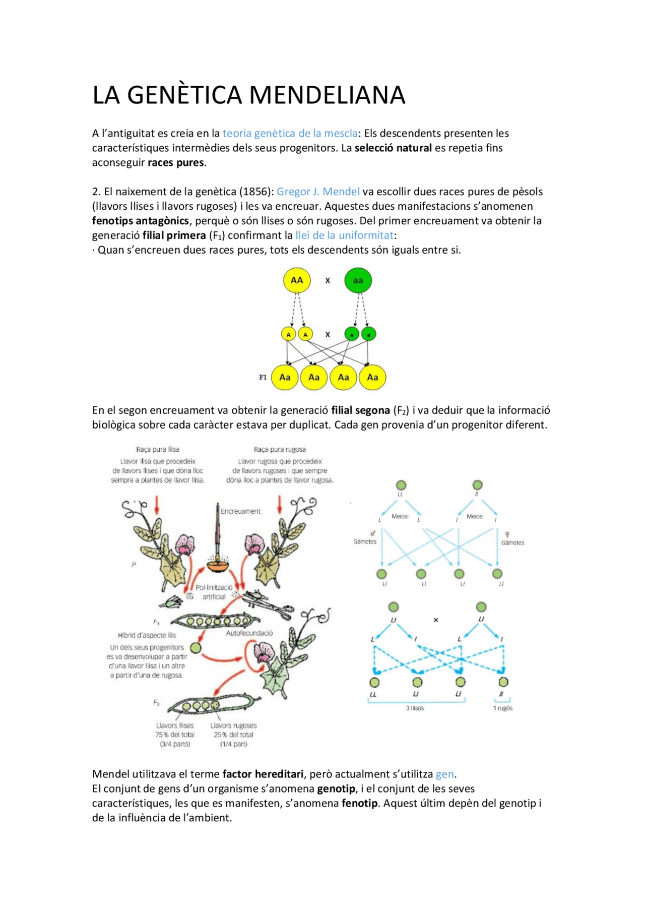 Unitat de Biologia Genètica mendeliana - Docsity