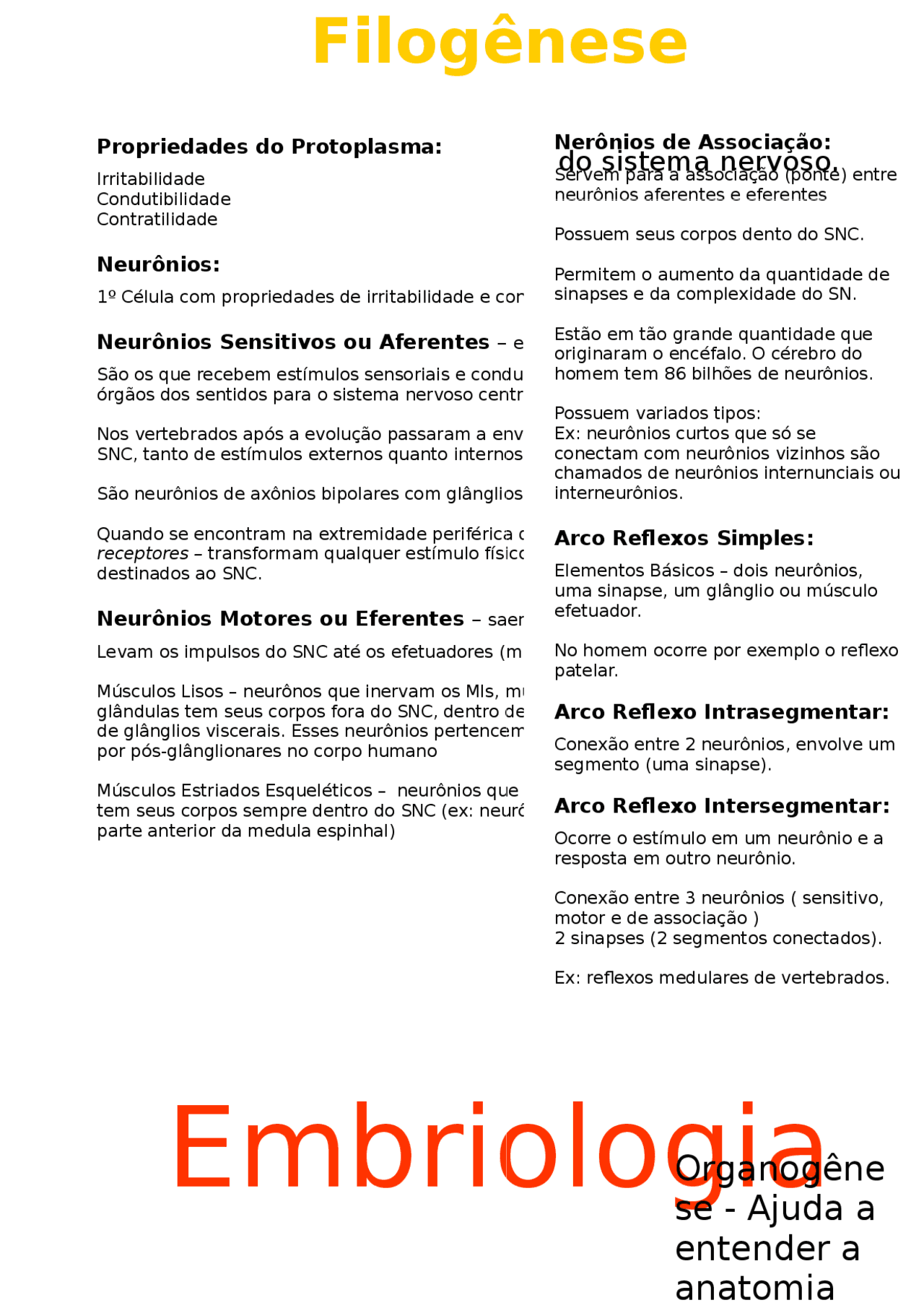 Esquema de Filogênese e Embriologia - Docsity