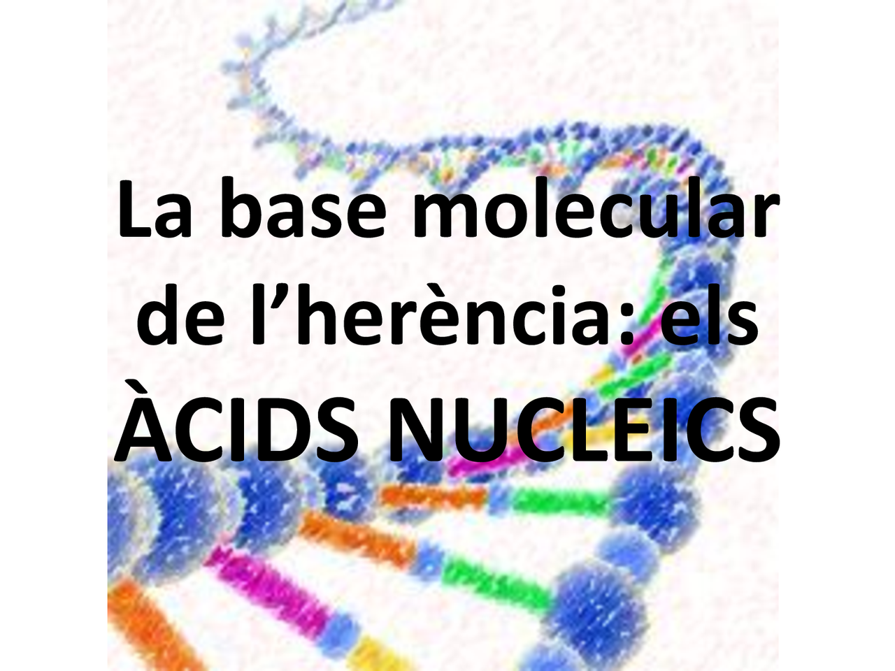 Resum àcids Nucleics Docsity