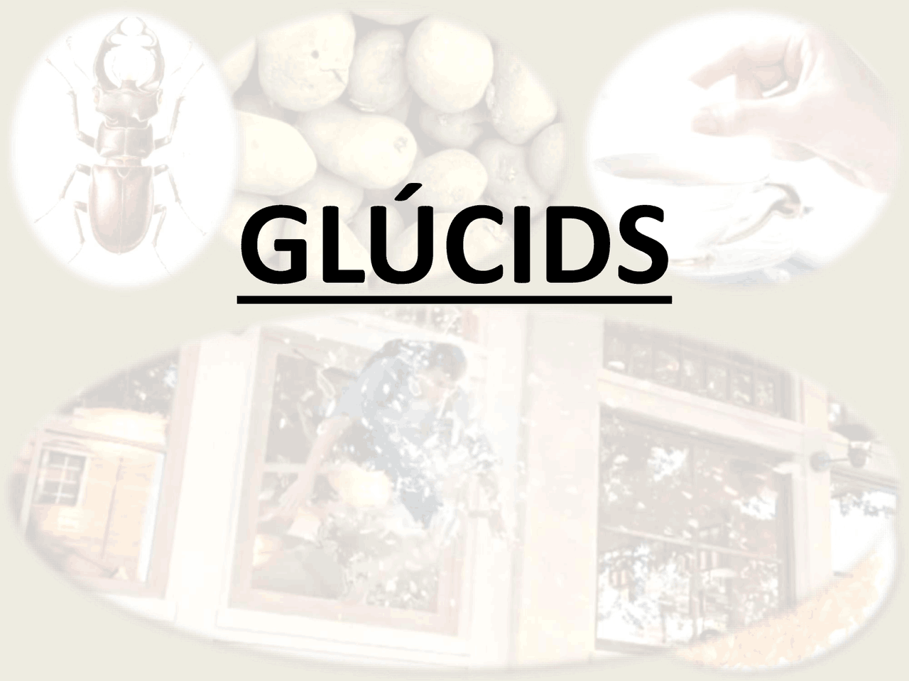 Resum De Glúcids Docsity