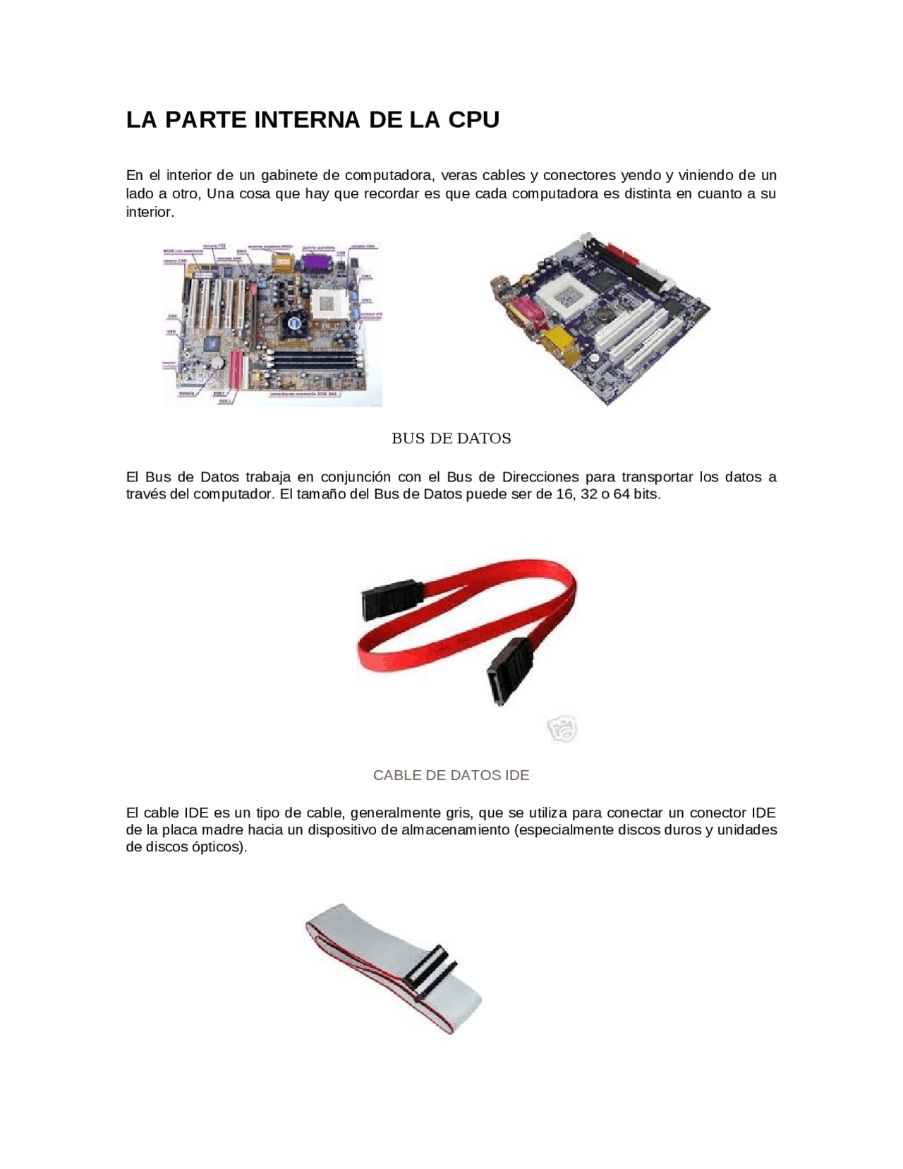 PARTE INTERNA DE LA CPU - Docsity