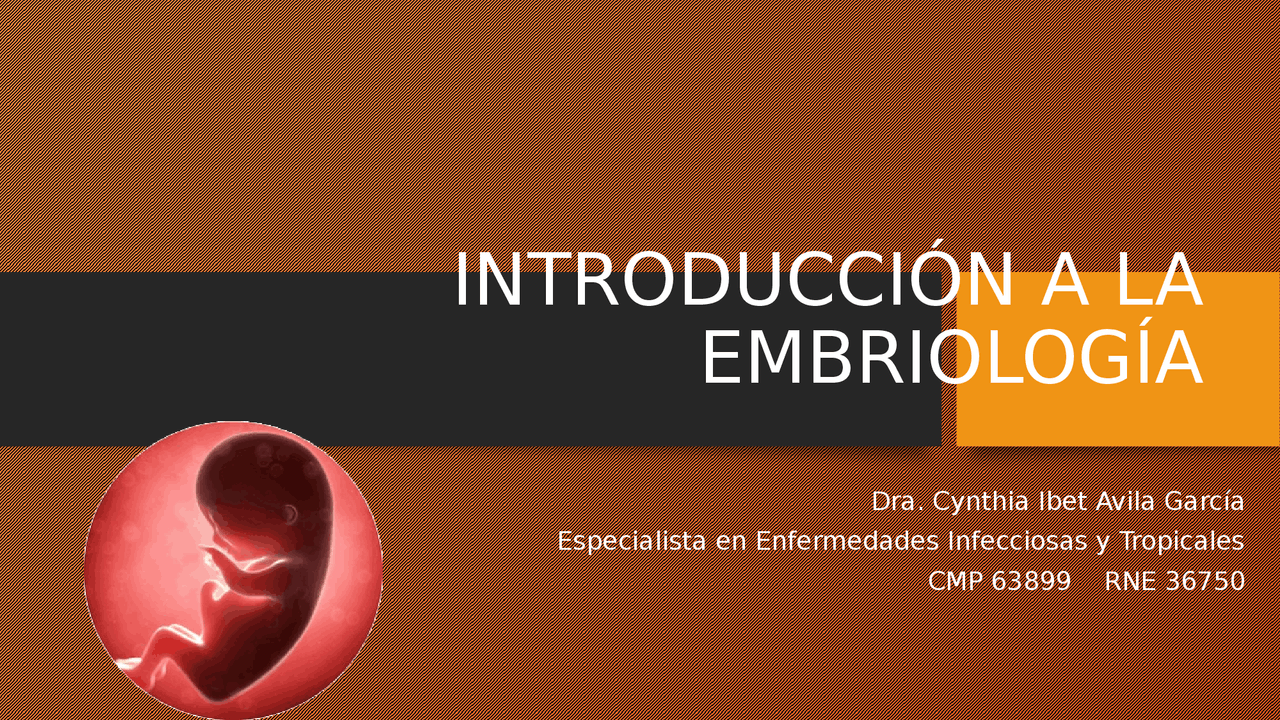 Introducción a la Embriología | Diapositivas de Genética Humana - Docsity