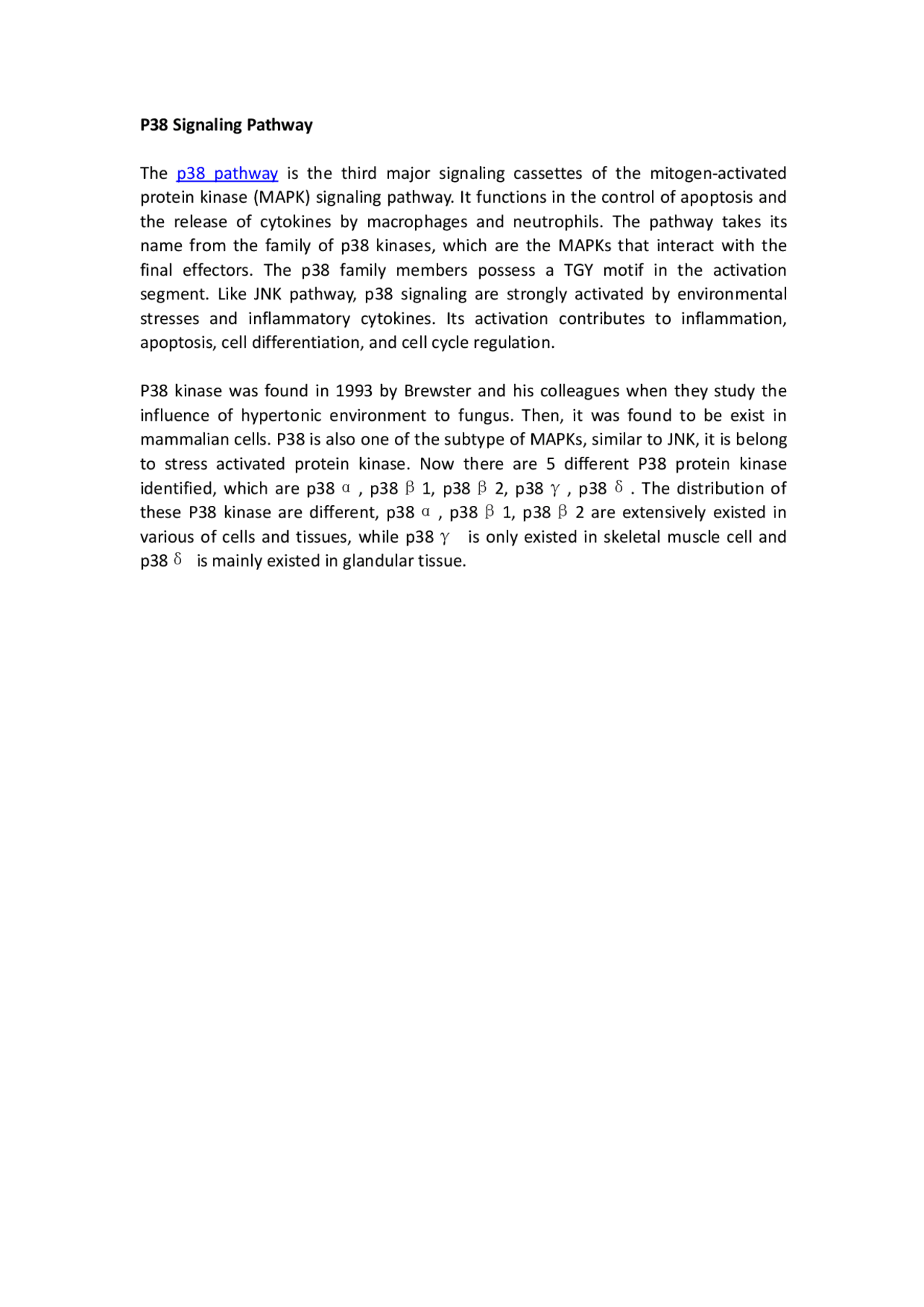 P38 Signaling Pathway Docsity