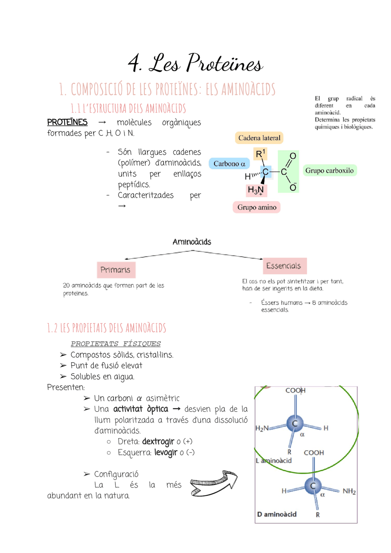 Proteïnes I Àcids Nucleics 1r Batx Apuntes De Biología Docsity