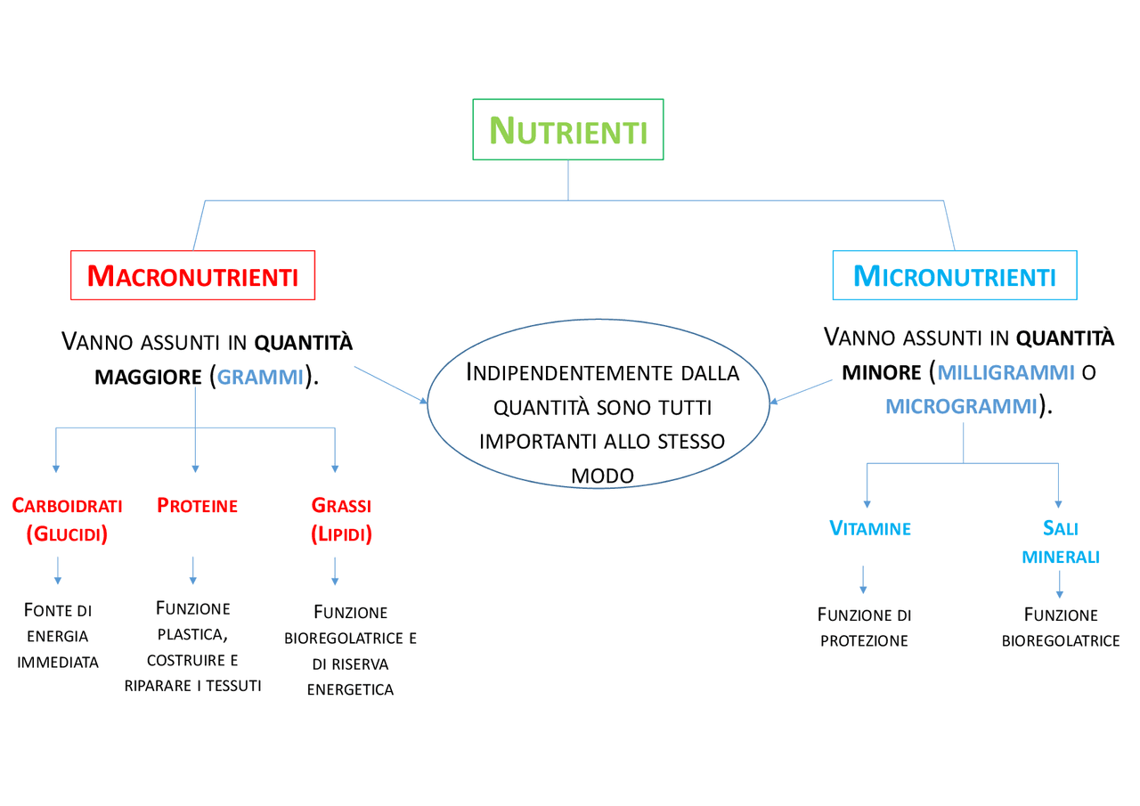 Mappa su: I nutrienti - Docsity