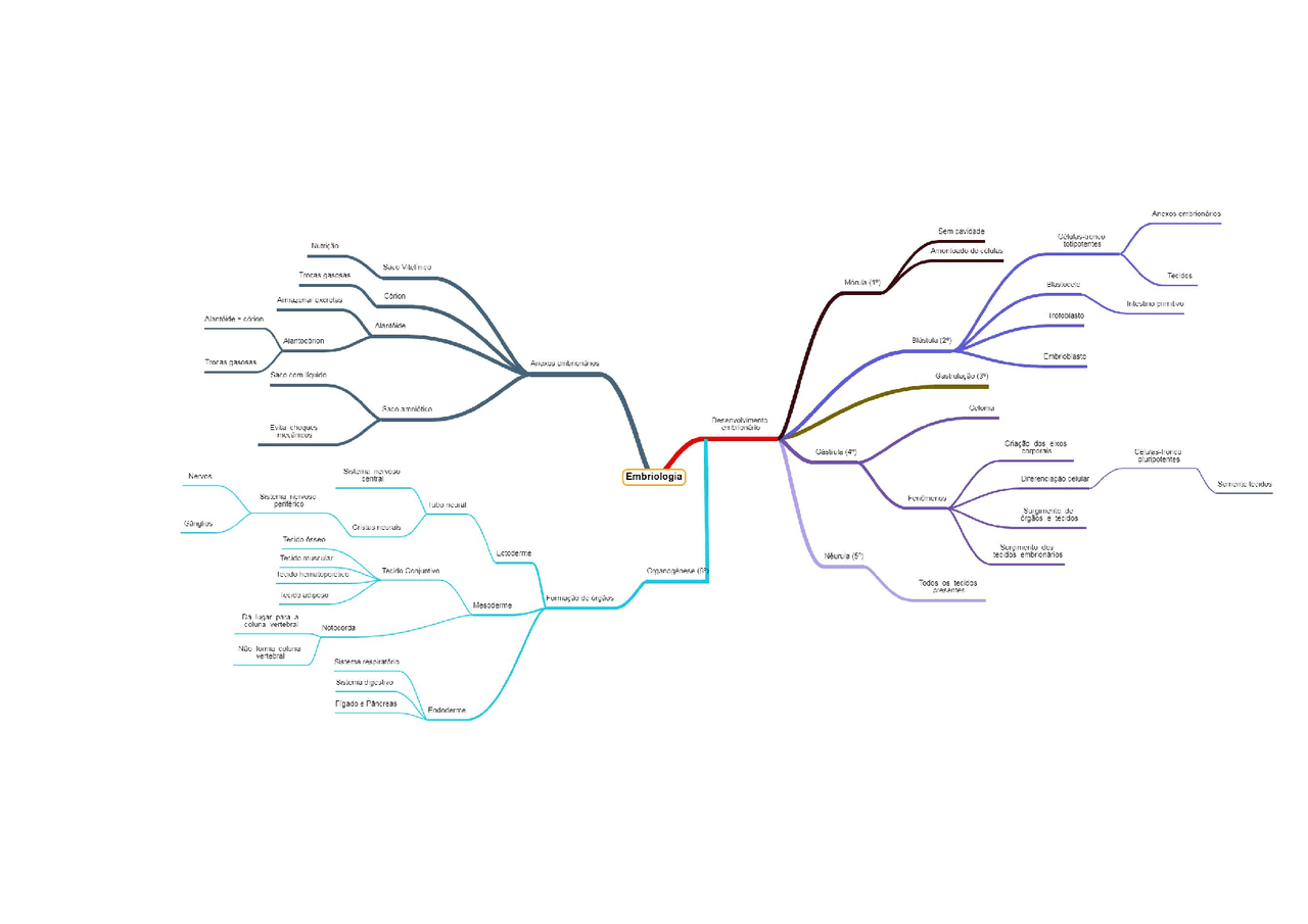 Mapa mental embriologia | Esquemas Biologia | Docsity