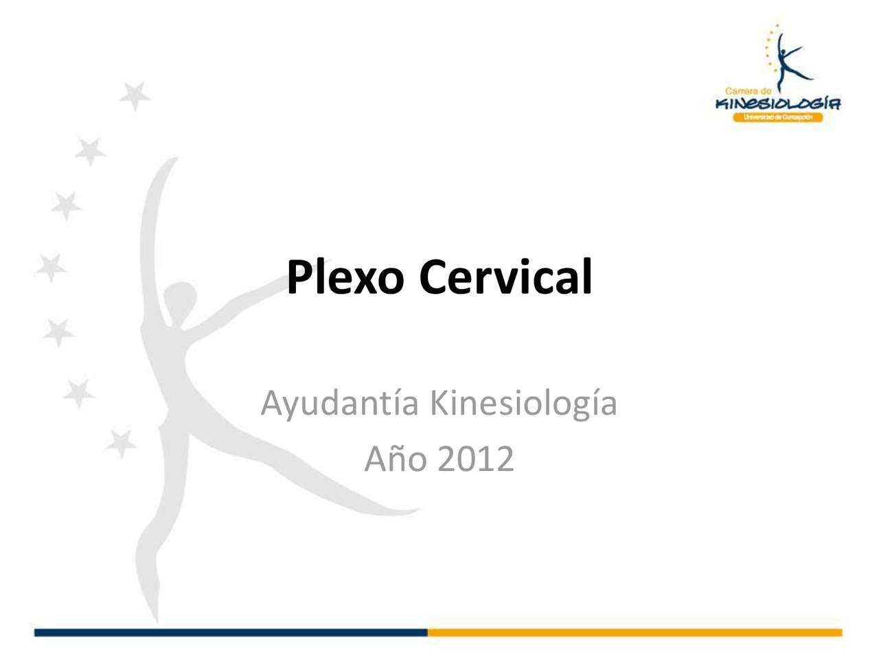 Plexo cervical neuroanatomia - Docsity