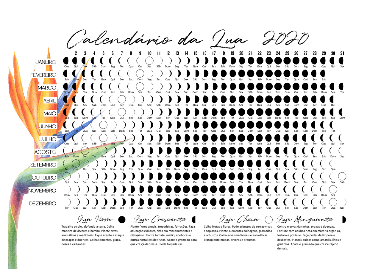 Calendário Lunar 2020 - Docsity