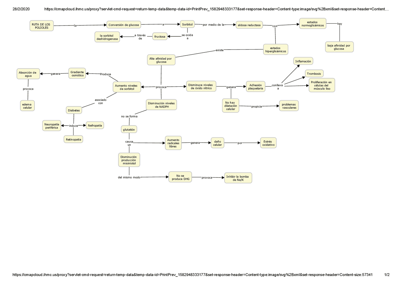 Ruta de los polioles - Docsity