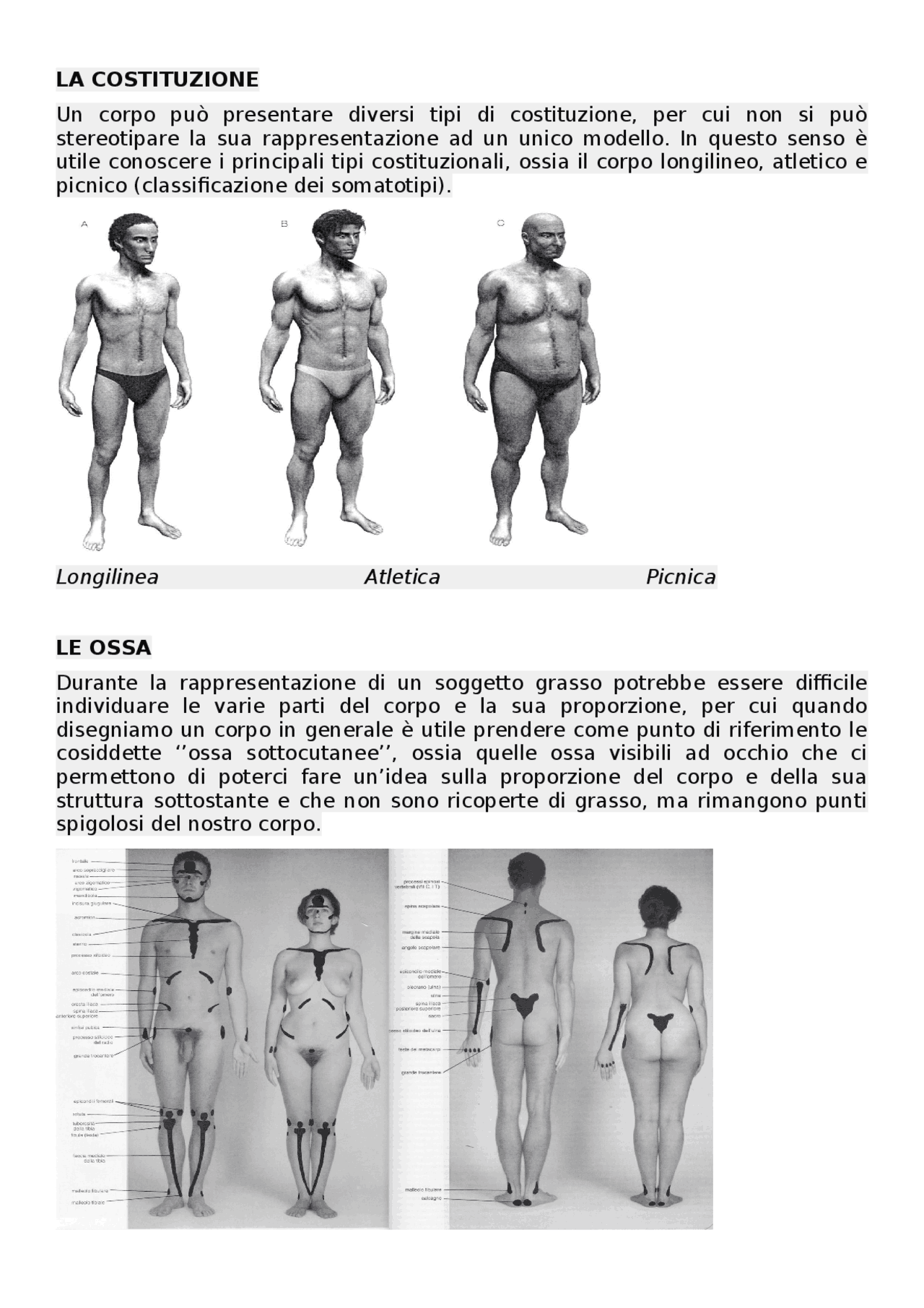 Ricerche sullo scheletro - Docsity