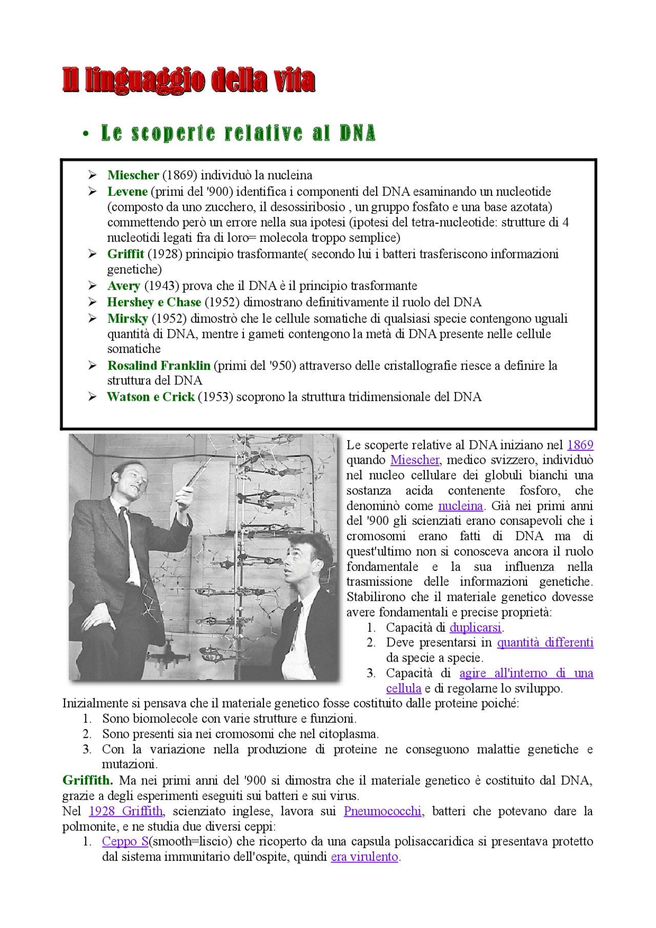 Dna Struttura E Duplicazione Docsity