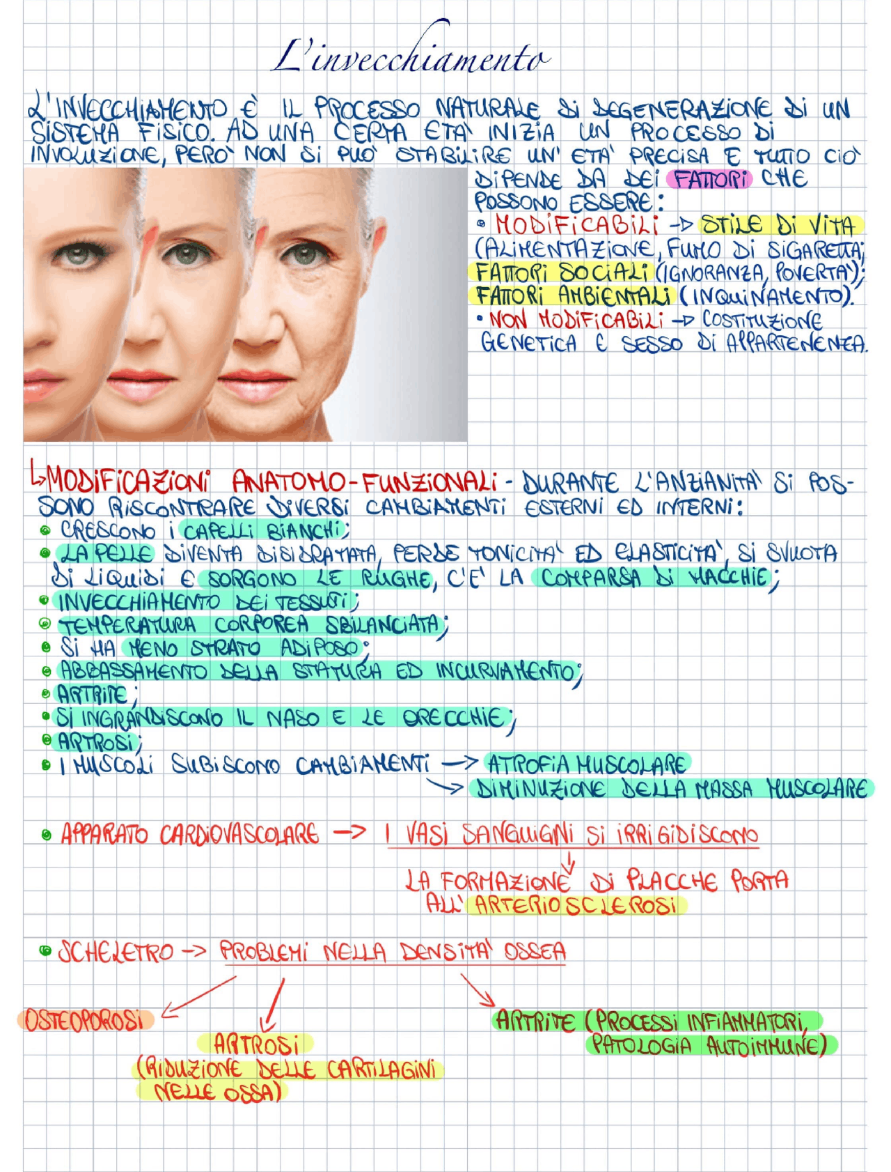 Appunti Sullinvecchiamento Docsity