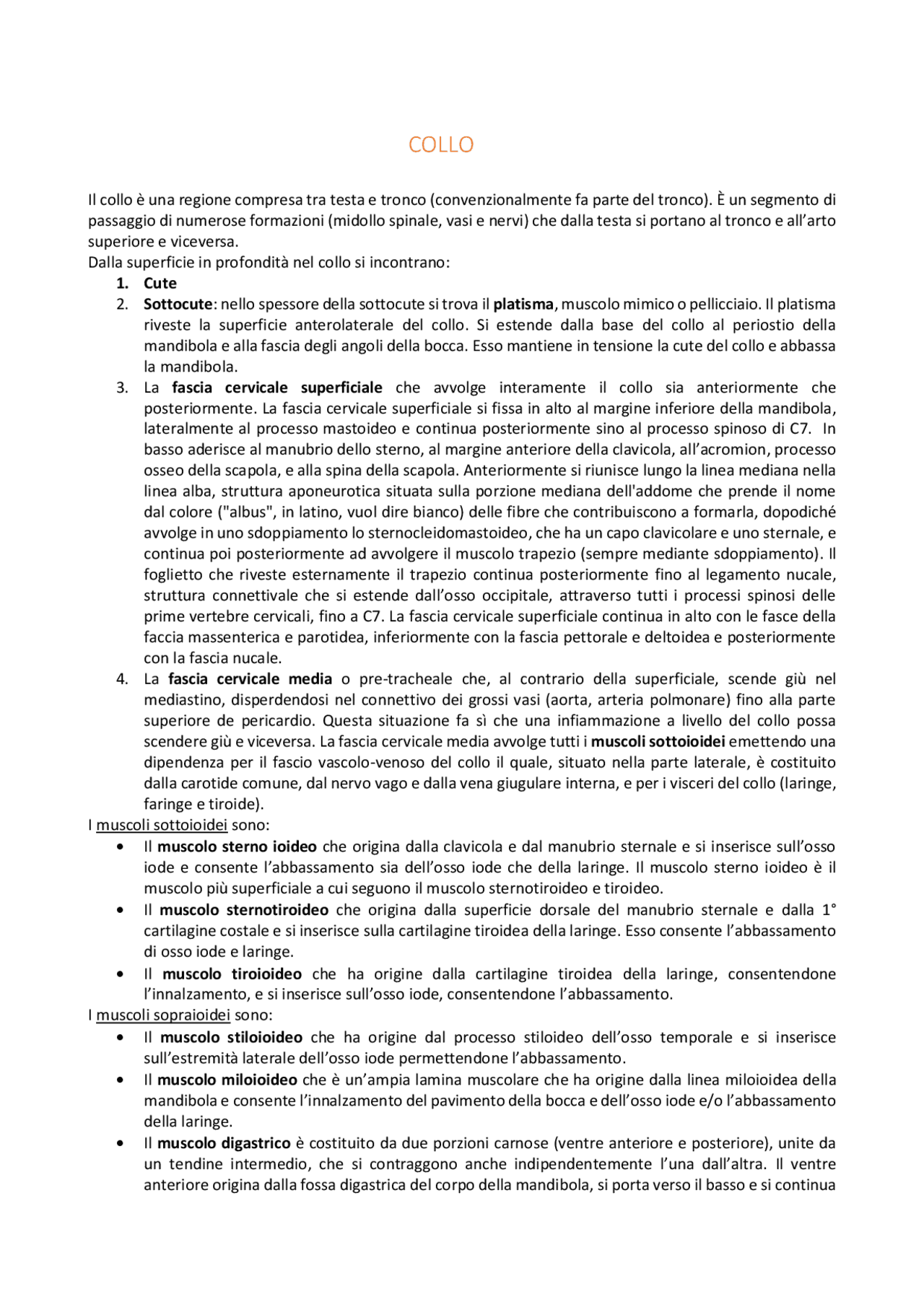 Riassunto Del Collo Anatomia Docsity