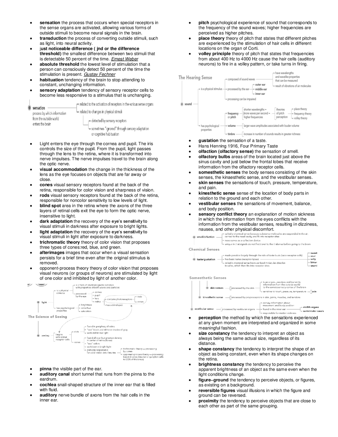 Senses And Perception Docsity