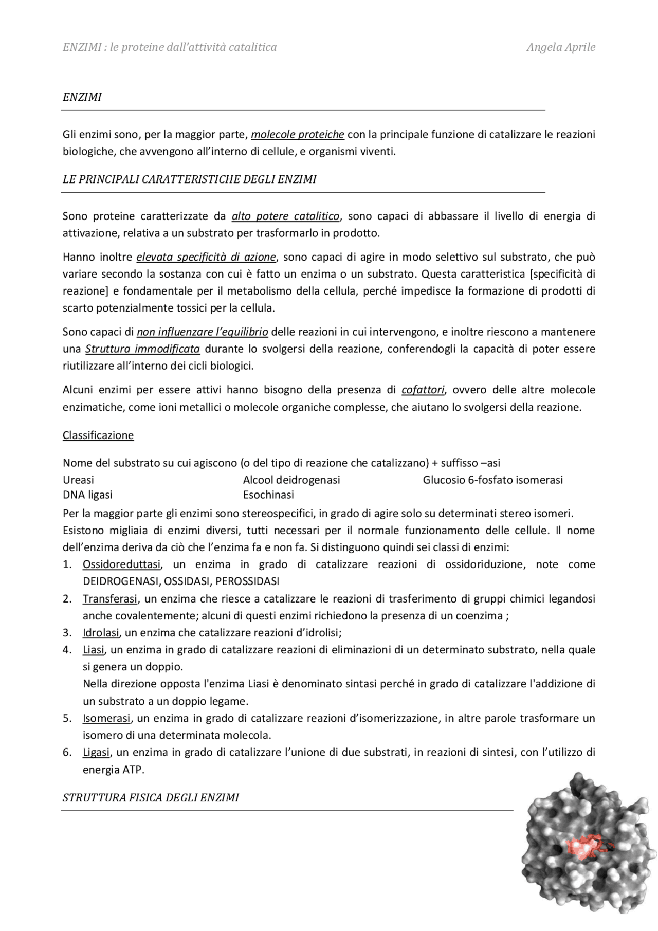 Enzimi Pt2 Enzimi E Coenzimi Docsity