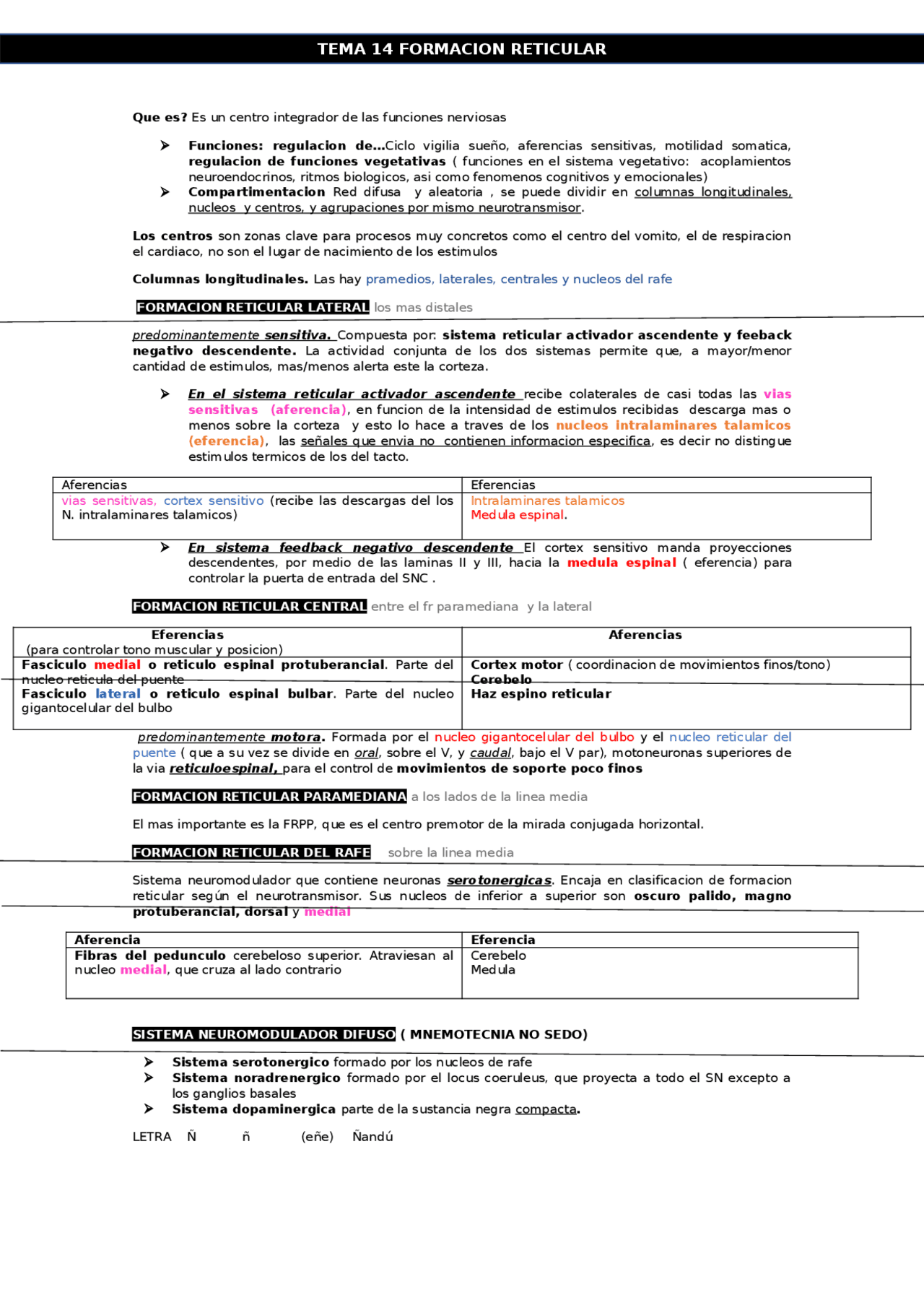 Resumen De Neuroanatomia Esquemas Y Mapas Conceptuales De