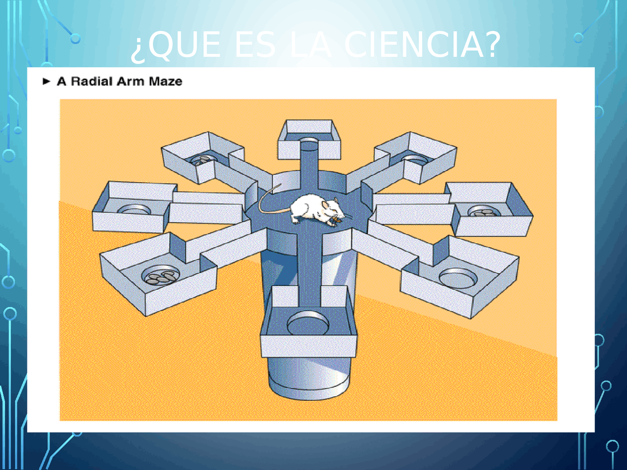 (1) QUE ES LA CIENCIA.pptx - Docsity