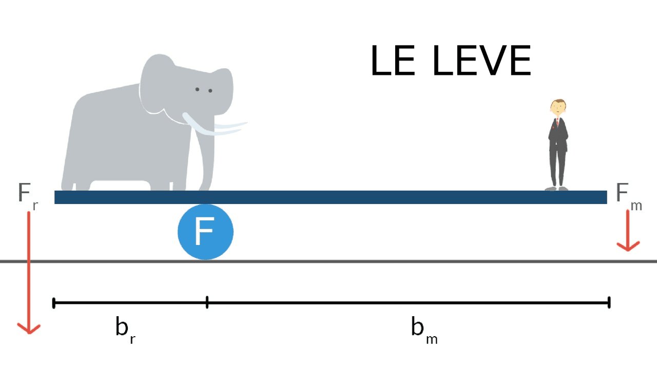FISICA, VARI TIPI DI LEVE - Docsity