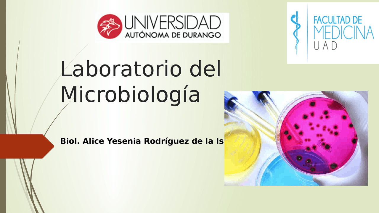 Laboratorio De Microbiologia Diapositivas De Microbiología Docsity