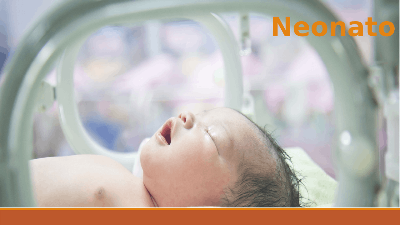 NEONATO Y FASE PRENATAL - Docsity