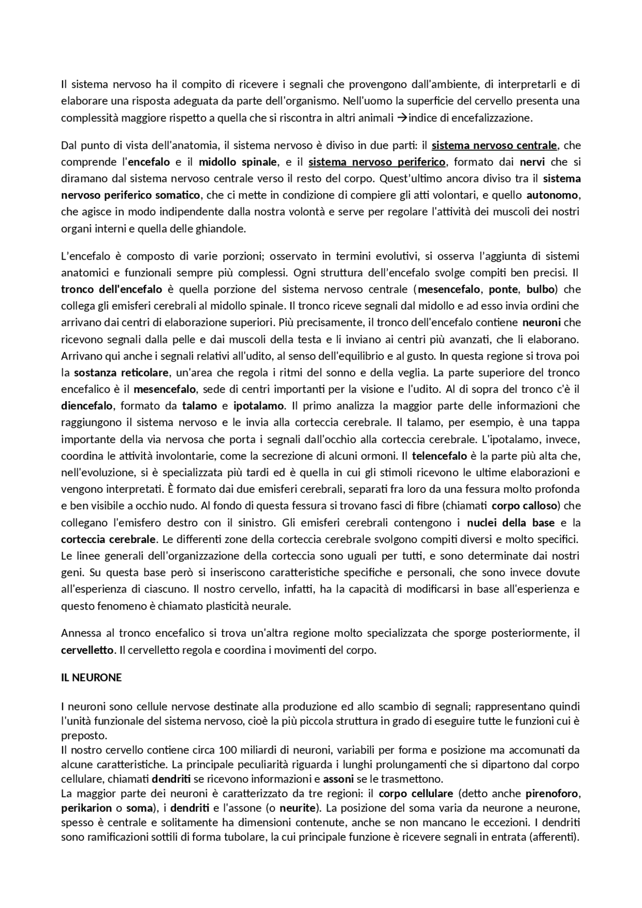 Appunti Di Neurologia Docsity