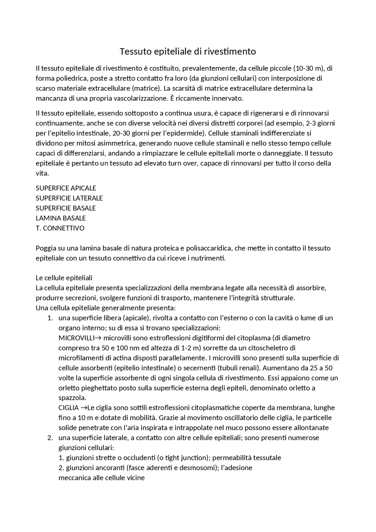 Tessuto Epiteliale Di Rivestimento Docsity