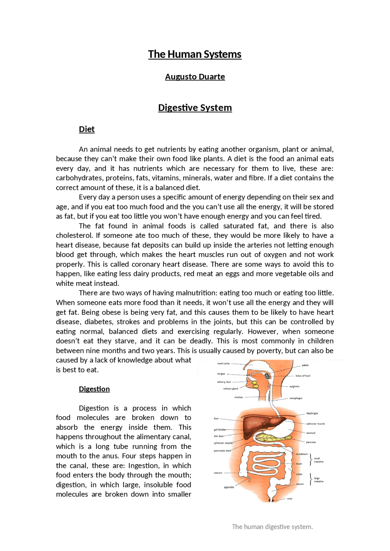 The Human Body Systems GCSE/IGCSE Level - Docsity