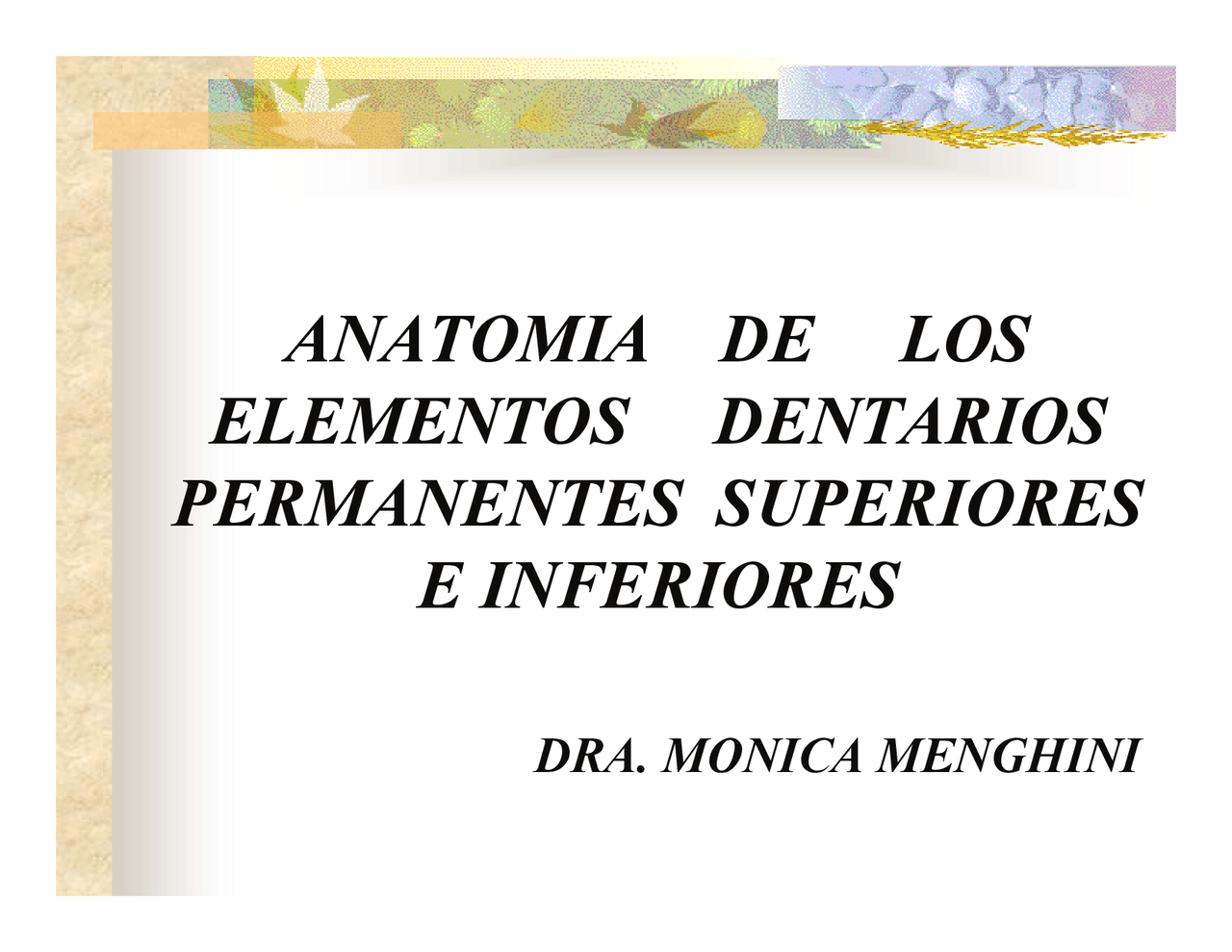 Anatomia denticion definitiva - Docsity