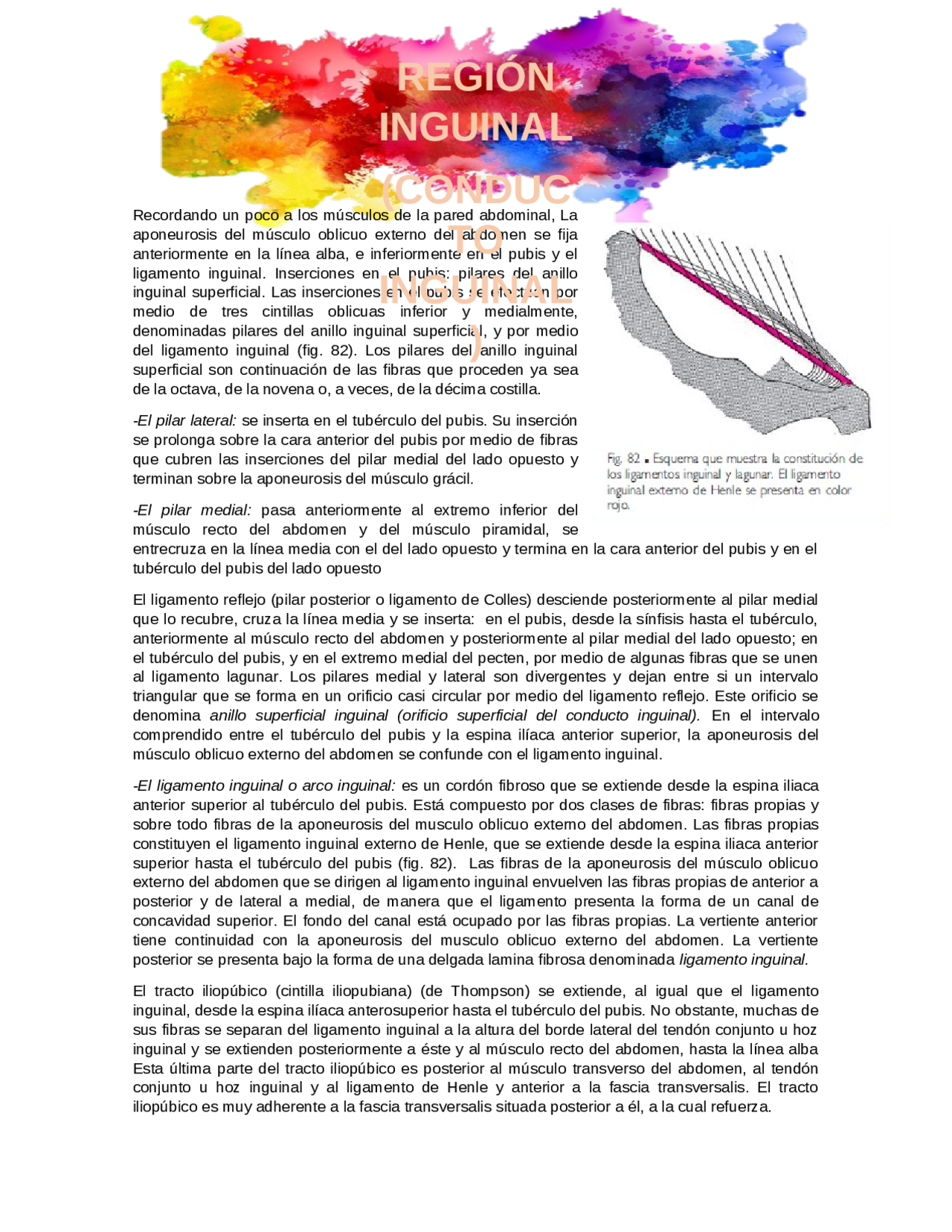 Región y Conducto Inguinal - Docsity