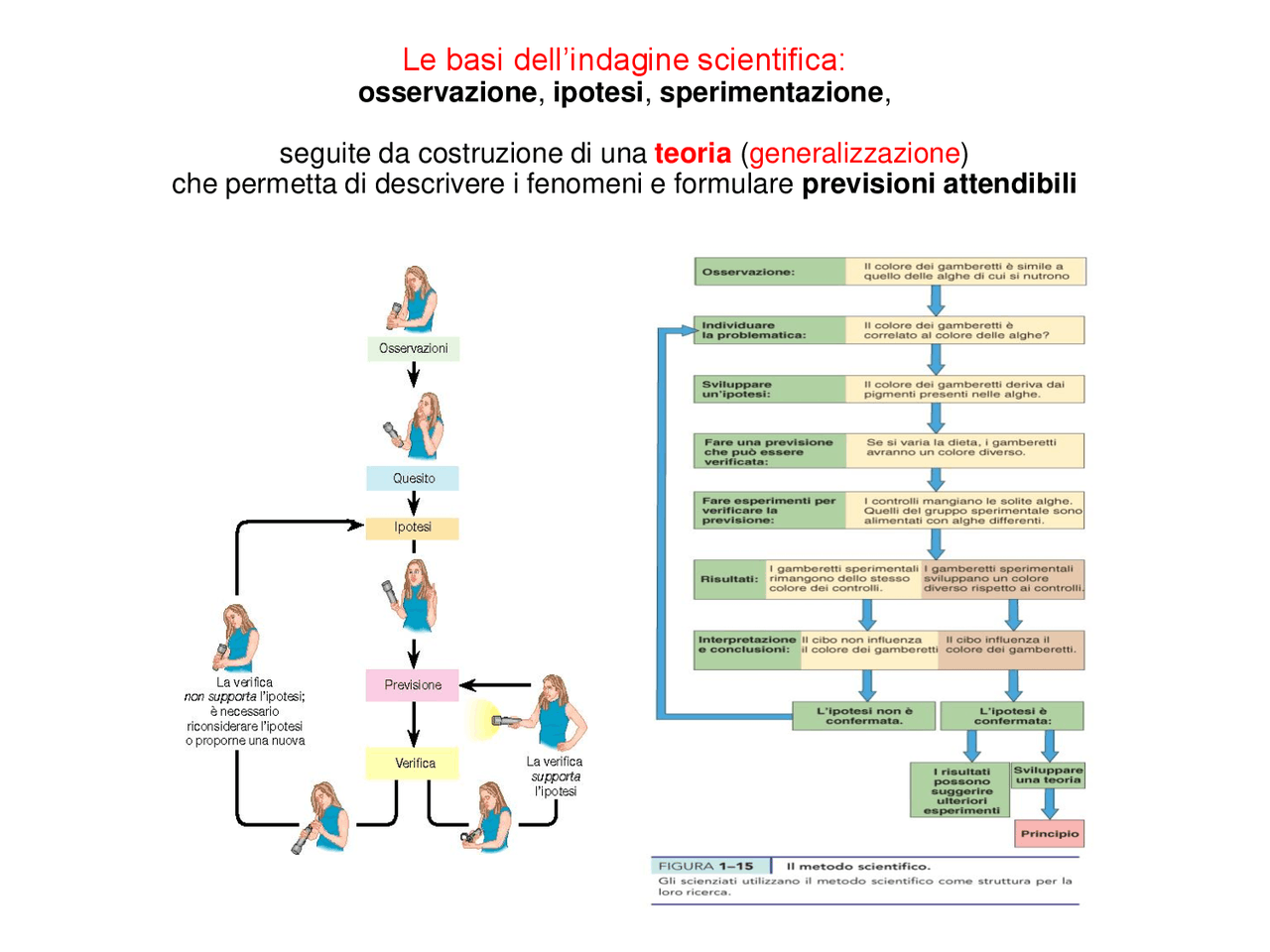 Le basi dell'indagine scientifica - Docsity